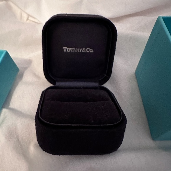 Tiffany & Co. | Jewelry | Nwt Tiffany Co Packaging Black Suede ...
